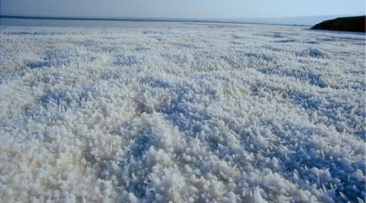 Kali Clorua Là Gì Và Những Điều Bạn Cần Biết | Hoá Chất Trần Tiến